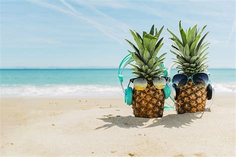Pineapple 1080p 2k 4k 5k Hd Wallpapers Free Download Wallpaper Flare