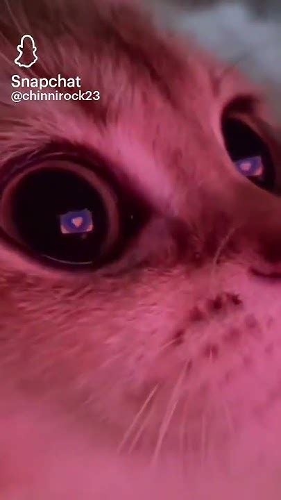 Pov I See Tanjiro Youtube