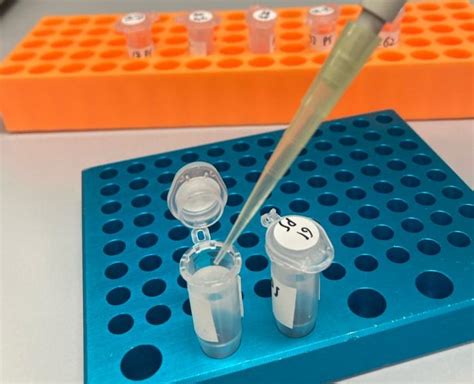 Getting Started Greengate Genomics