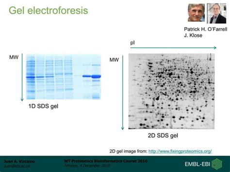 Introduction To The Proteomics Bioinformatics Course 2016
