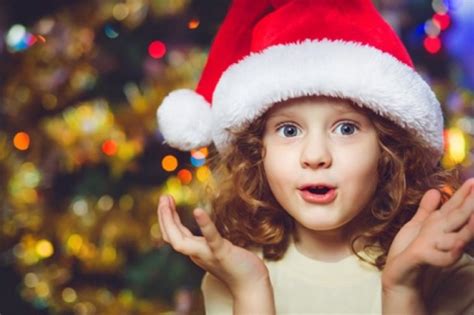 Новогодние елки 2019 – 2020 в Екатеринбурге / Mama96.ru