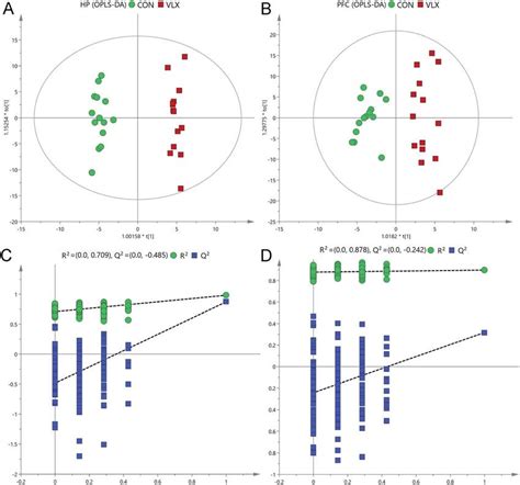 Multivariate Statistical Analysis Opls Da Scores Plot Derived From