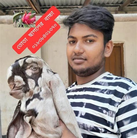 মা ছেলের খামার