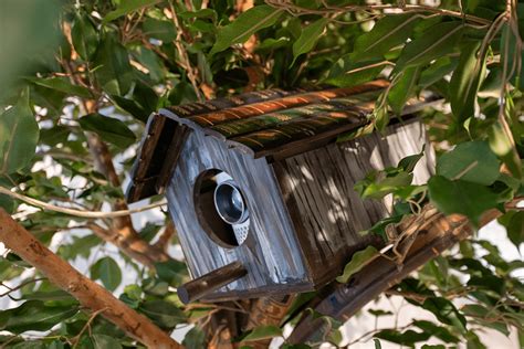 Coding School And Bootcamp In Dubai