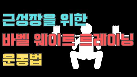 근성장을 위한 바벨 웨이트 트레이닝 운동법 8rm ~ 12rm 3세트씩 Youtube