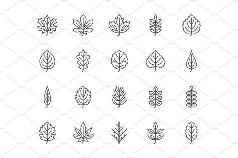 Leaves Line Icons Masterbundles