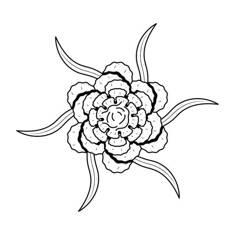 Premium Vector Abstract Hand Drawn Flower Plant Botanic Floral Nature
