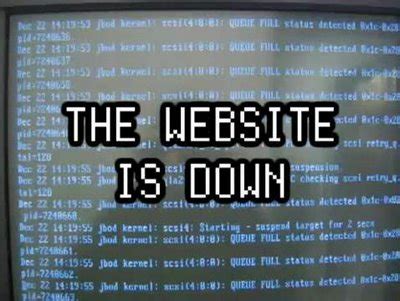 Eco Libris Blog Our Website Is Down Due To Server Problems