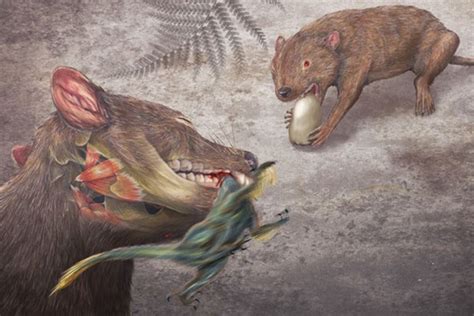 Fossils Earth Touch News Network