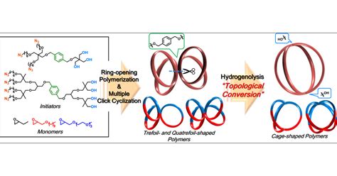 Synthesis Of Well Defined Three And Four Armed Cage Shaped Polymers Via “topological Conversion