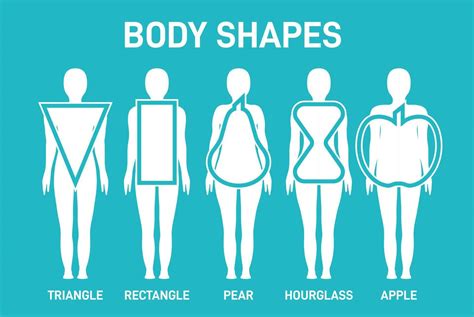 Gender Neutral Body Shapes Triangle Rectangle Apple Pear And