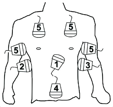 Schematic Drawing Showing The Regions Of The E Fast Protocol The