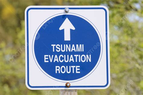 Fondo Señal De Tsunami Ayuda De Guía De Tsunami Foto E Imagen Para