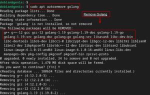 How To Install Go Golang On Debian Linux Genie How To Install Go Golang On Debian Linux Genie