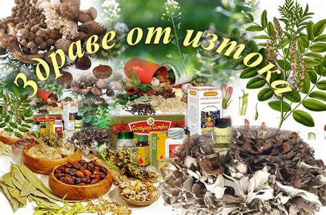 Билки And Мед Рецепти на лечителя Петър Димков за сваляне Facebook