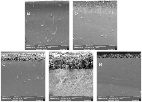 Development Of Bilayer Polysaccharide Based Films Combining Extrusion And Electrospinning For