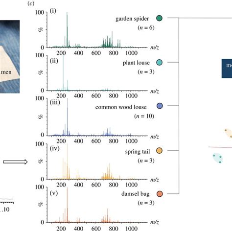 Reims Analysis Of Different Arthropod Species Arthropods Killed By