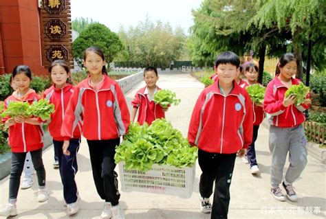灵宝市尹庄镇实验小学：劳动淬炼成长 实践创造幸福