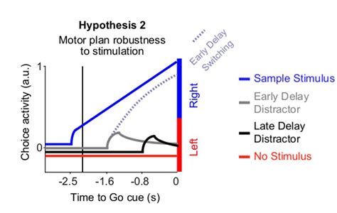 Cosyne 2020 Impressions Catnip Lab Computational And Theoretical