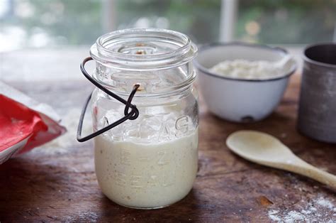 Sourdough Starter Recipe King Arthur Baking