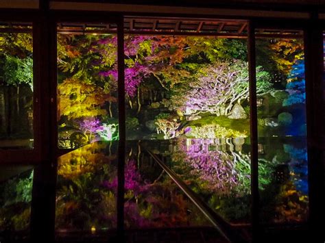 旧竹林院（紅葉ライトアップ）滋賀県大津市の観光・撮影スポットの名所 東海カメラマップ