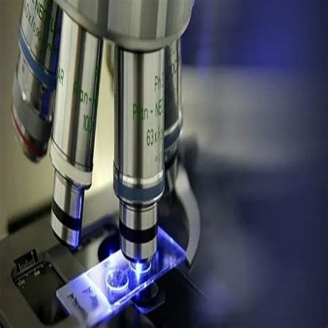 Metallography Testing Service In Chennai ID