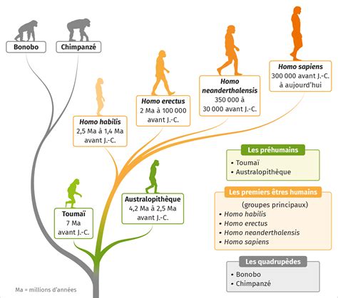 Les Premiers êtres Humains Lelivrescolairefr