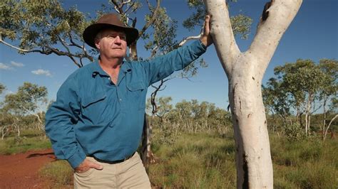 Dr Andy Asquith On Linkedin Outback Shire Tight Lipped After Ceo
