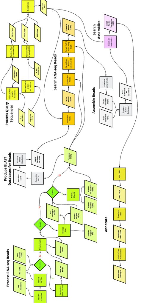 Overview Of The Main Components Of Workflow Download Scientific Diagram