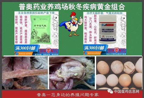 究竟什么是预测如何预测