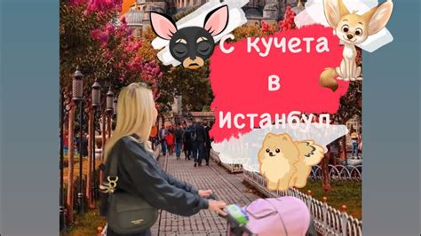С КУЧЕТА В ИСТАНБУЛ 🐾🇹🇷 Youtube