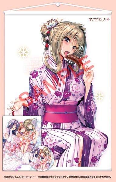 書籍アマカノ ビジュアルファンブック ドラマcd付限定版＋『c 上林 聖』通常タイプタペストリー 店舗特典無し アダルト書籍