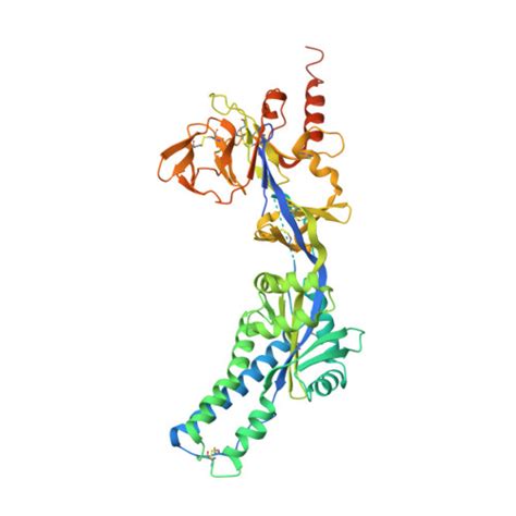 RCSB PDB 6Q0S Crystal Structure Of RSV Strain B18537 Prefusion