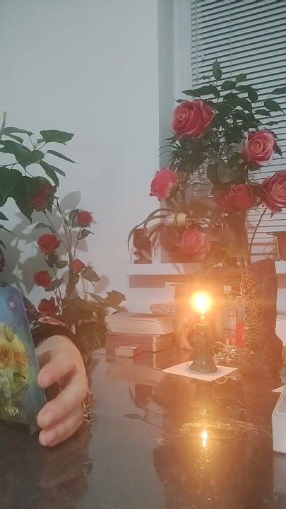 Как научиться отказывать деструктивным людям и освободиться от чувства ложного долженствования