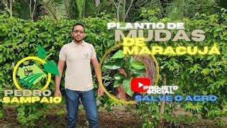 Como produzir suas próprias mudas de maracujá Doovi