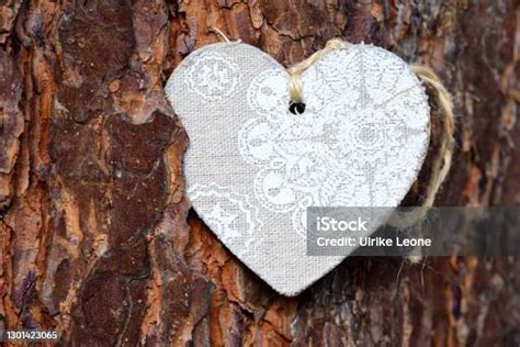 리본이 달린 나무로 만든 하트는 나무 껍질의 나무 줄기에 갇혀 텍스트 공간을 제공합니다 하트에는 장식 패턴이 있습니다 0명에 대한 스톡 사진 및 기타 이미지 Istock
