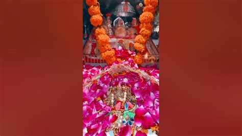🌸🌸🌸🌸जय माता दी🌸🌸🌸🌸🌹॥ॐ ऐं ह्रीं क्लीं चामुण्डायै विच्चै॥🌹 श्री माता