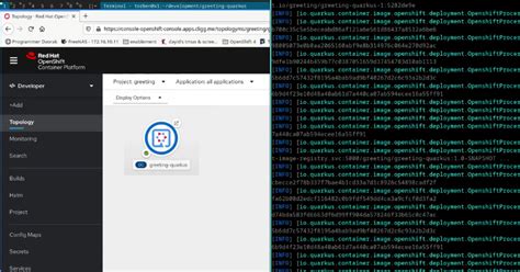 How To Accelerate Your Cloud Native Appdev With Knative Java And Openshift Open Sourcerers