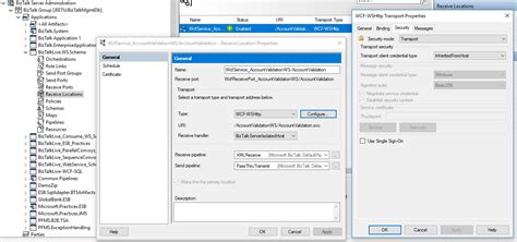 Configure Setting In Internet Information Services IIS And BizTalk