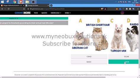 [video] Discover The Ultimate Grumpy Cat Game Answers