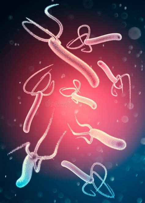 Helical Bacterium Stock Illustrations 73 Helical Bacterium Stock