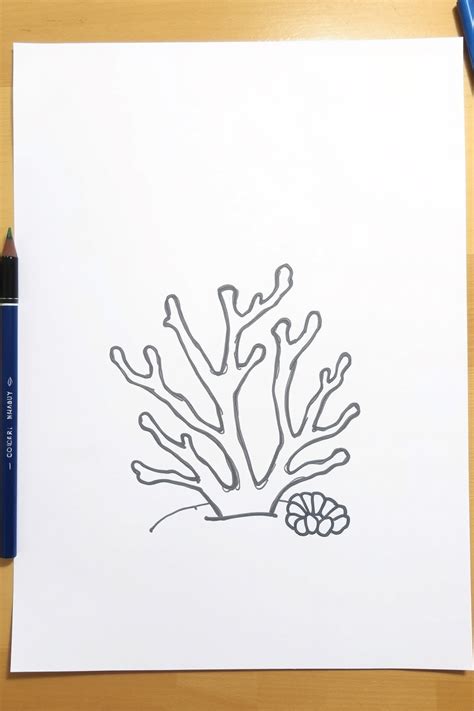 How To Draw Realistic Coral