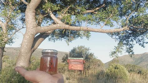 A Young Game Reserve In Zululand Babanango Game Reserve