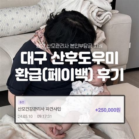 대구 산후도우미 환급 신청방법 후기 대구로페이 페이백 금액 네이버 블로그