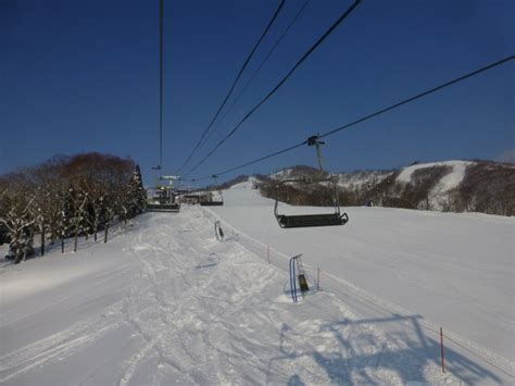 峠おやじの「たわごと」 肩鎖関節（けんさかんせつ）脱臼