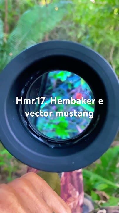 Triângulo Perfeito Youtube