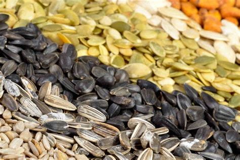 Descubre Los Beneficios De Comer Semillas Estilo De Vida Bienestar Univision