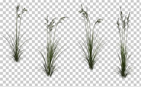 autodesk 3ds max texture mapping png clipart artificial grass aut