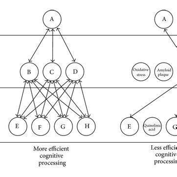 Neural Communication And Cognitive Reserve Circles Represent Neurons