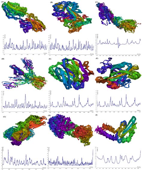 multimodel superimposed simulated structure and md simulation showing